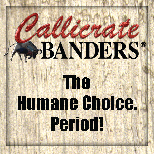 Not all Methods of Castration by Ligation are Equal – Callicrate Banders