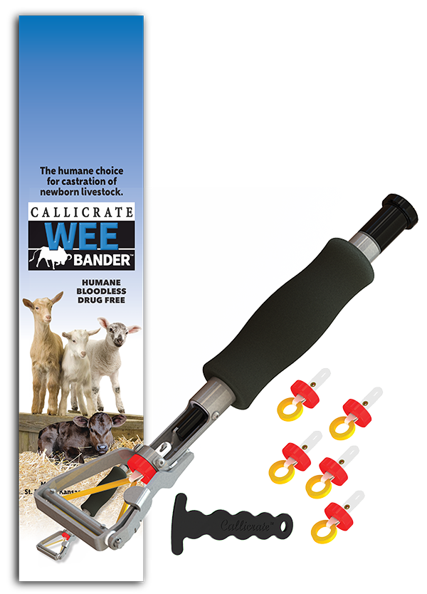 Callicrate WEE Bander™ Kit – Callicrate Banders