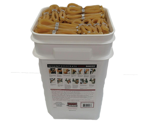Bucket of 500 Callicrate SMART Loops™ – Callicrate Banders